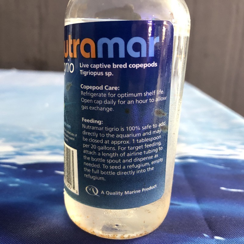 Salty Underground: Nutramar Tigrio Copepods 4 oz. (Tigriopus sp.) live food